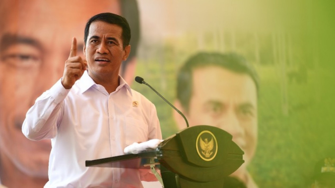 Mentan Amran: Tolong Bulog Beli Gabah Petani, Jangan Hanya Beras - Metapos Mentan Amran: Tolong Bulog Beli Gabah Petani, Jangan Hanya Beras - Metapos